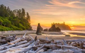 The 10 Best Day-Hikes in Olympic National Park - Pure Hiker