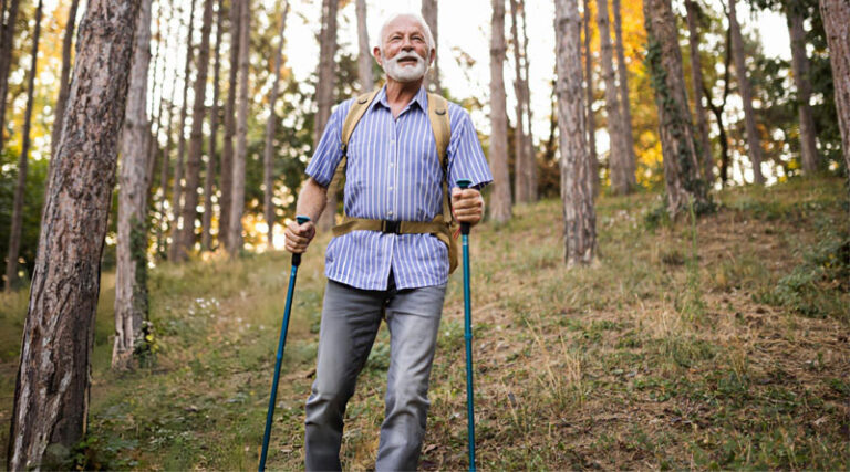 Best Trekking Poles for Seniors of 2026 - Pure Hiker